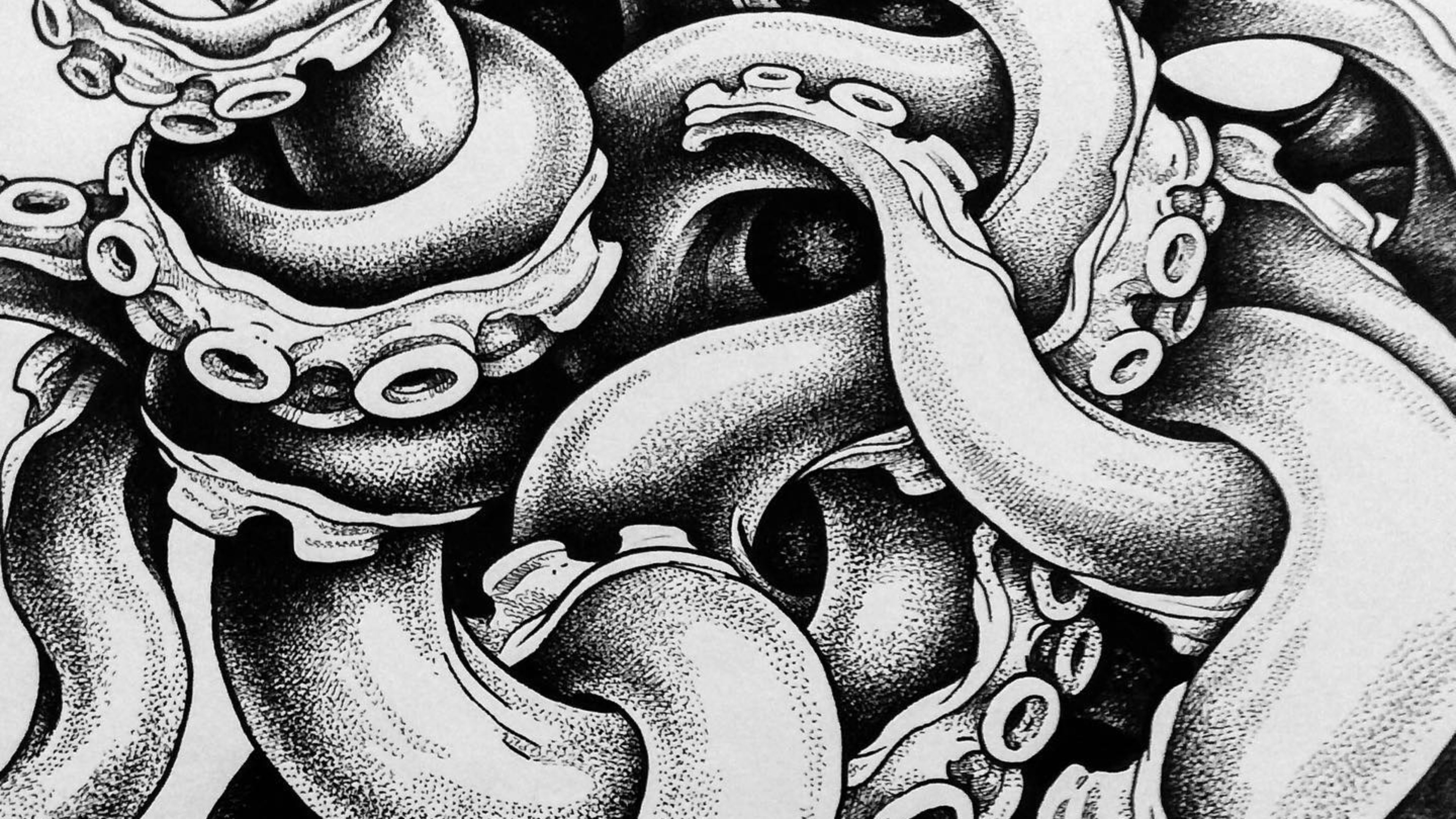 Les poulpes tentaculaires de Senor Octopus - Posca - Posca